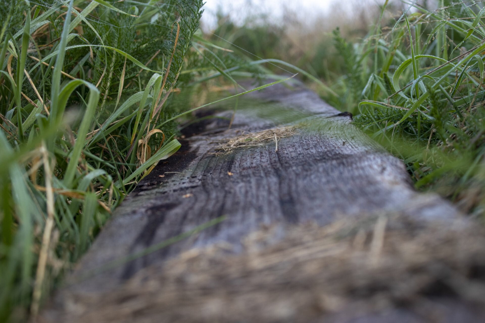 Mini Camping - Boerderijvakanties.nl